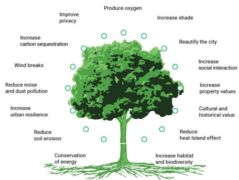 TreeTube – Urban Green Infrastructure